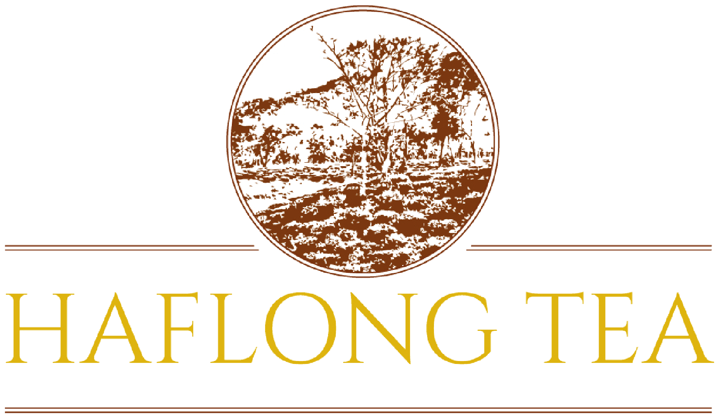 Oolong tea and its Ever-growing Popularity in the Health Industry ...